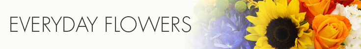 Everyday Flower Arrangements Columbus (OH) Newark, New Albany Delivery